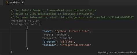 Ubuntu —— 软件使用 Vscode断点调试pythonvscode Add To Watch Csdn博客