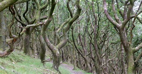 Parc Cwm Darran 9 Ramblers