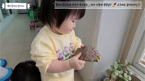육아vlog 할머니집갔는데 무언가 먹고있는 마먹는 15개월 아기 마 갓생살기 쌍둥이육아브이로그 탁구왕해고양이tv Youtube