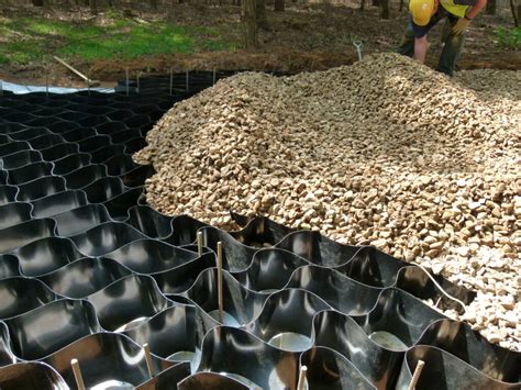 Tree Root Protection Geocell Vehicular Traffic Paths Parking