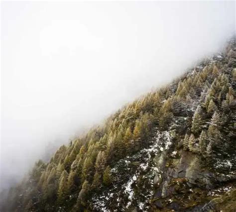 Css 반응형 디자인 만들기 아트