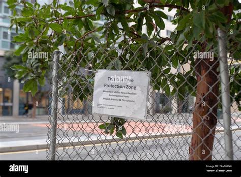 Tree Protection Zone With Warning Sign Around Existing Tree At A Construction Site In The