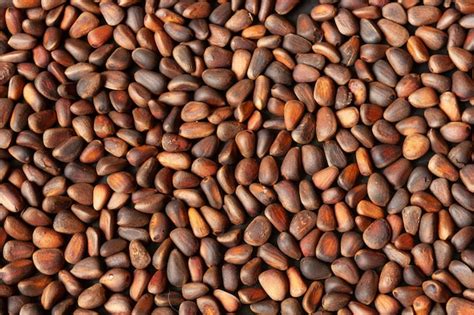 Premium Photo Pine Nuts In The Shell Food Background