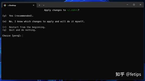 Windows安装Zsh终端 知乎