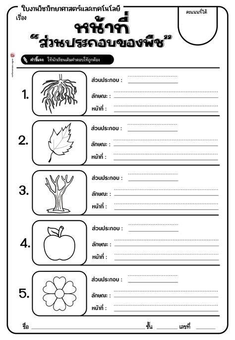 👩‍🏫 แบ่งปันไฟล์ใบงานนักเรียน ️🏞💕 สื่อการสอนของครูแอน