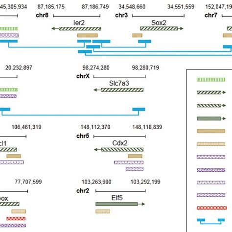 Workflow A And Results B Of Chip Array 2 A Direct Targets Are Workflow A And Results B Of Chip Array 2 A Direct Targets Are