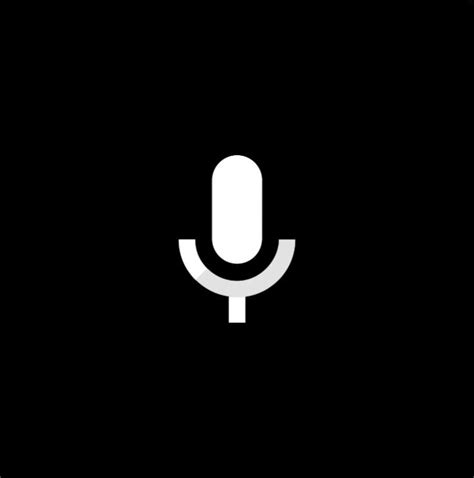 Recorder Icon