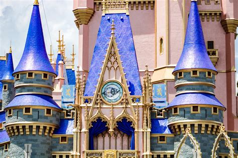 A Beauty R Waltdisneyworld