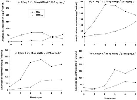 Bioaccumulation Of Inorganic Mercury And Methylmercury By Amphipods Download Scientific Diagram