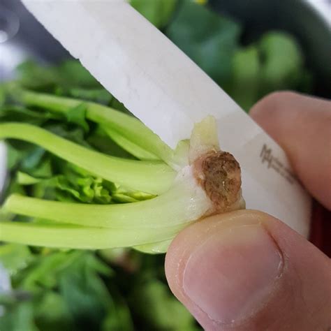 영양가 좋은 시금치무침 만드는 방법