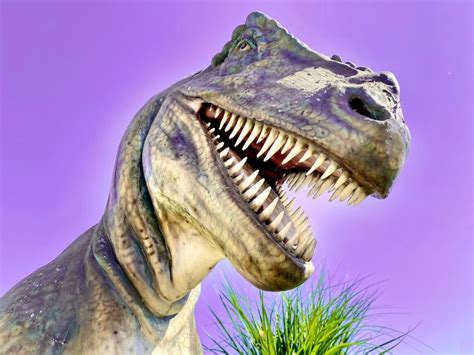 March 2025 TIOBE Index Legacy Dinosaur Languages Are Making A Comeback