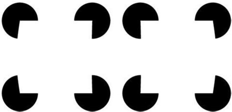 Figure 11 From Stereoscopic Surface Interpolation From Illusory Contours Semantic Scholar