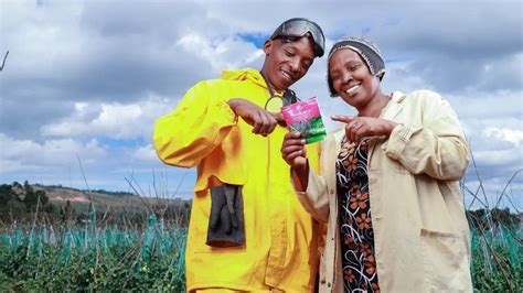 Kenyas Farmers Embrace Safe Pesticide Practices For A Healthier Future