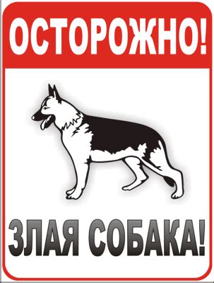 Собака — символ… А что, собственно, символизирует собака? | Для ...