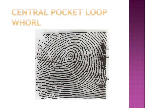 Ppt Introduction To Forensic Science Powerpoint Presentation Free