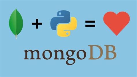 Learn Mongodb With Python Part 1 By Tomas Svojanovsky Python In Plain English