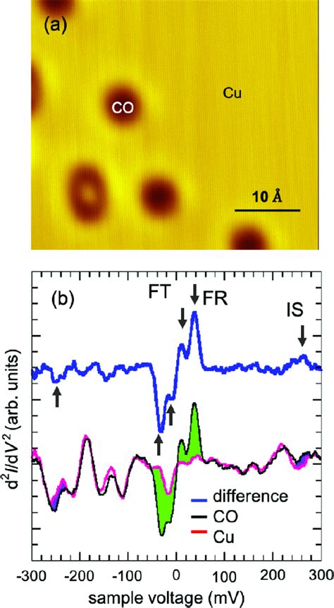 Color Online A Stm Topographic Image Of Co Molecules On Cu110