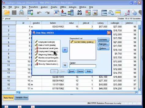 SPSS Help An Introduction To Using SPSS Radio Kultura People