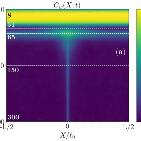 Left Panel Time Evolution Of The Spatial Correlation Function C W X Download Scientific