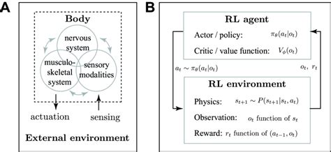Maximum Diffusion Reinforcement Learning Ai Research Paper Details