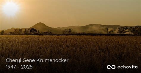 Cheryl Gene Krumenacker Obituary 1947 2025 Follansbee Wv