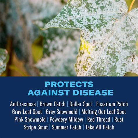 Bayer Advanced Lawn Fungus Control 10 Lb Fungicide In The Moss Algae