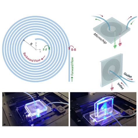 Micron Particle Sorting Smart Biomaterials And µ Solutions Smart Mcs