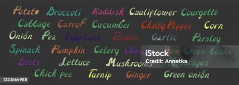 야채 글자 초대장 인사말 카드 티셔츠 프린트 소셜 미디어 블로그 및 포스터를 위한 손으로 글쓴 벡터 문자 및 서예 문구 벡터 그림입니다 채소에 대한 스톡 벡터 아트 및 기타
