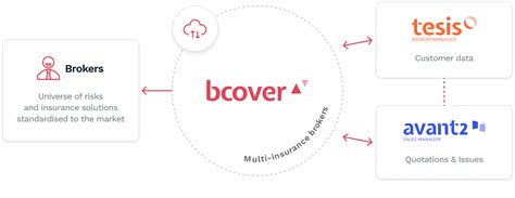 Schema Brokers En • Codeoscopic