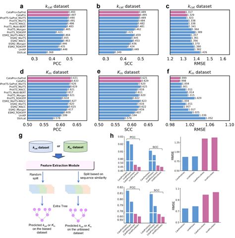 Nat Commun 深度学习驱动的酶动力学参数预测模型catapro助力高效酶挖掘与改造 智源社区