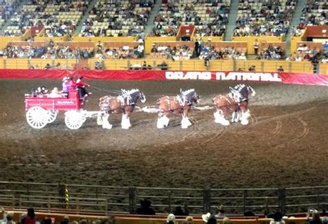 I Need Of A Renovation Review Of Cow Palace San Francisco Ca