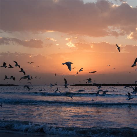 Modals Class 9 Notes And Examples