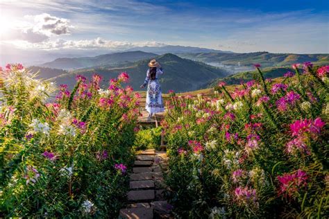 รวม 5 ที่เที่ยววิวสวยแม่สอดพากันไปโอบกอดกับธรรมชาติ รีวิวเที่ยวไทย