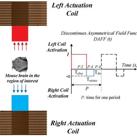 Schematic Of The Discontinuous Magnetic Actuation System For Drug Download Scientific Diagram