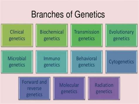 Genetics Heredity Variation History Its Roles Scope Importance