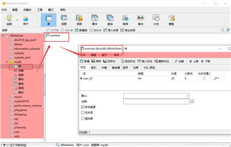 mysql 数据库图形化管理界面应用种草之 navicat premium 如何使用 腾讯云开发者社区 腾讯云