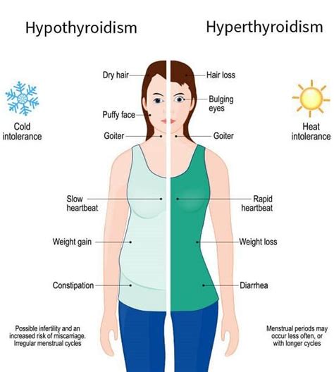 Thyroid Health What Is Considered A Dangerously High Tsh Level Artofit