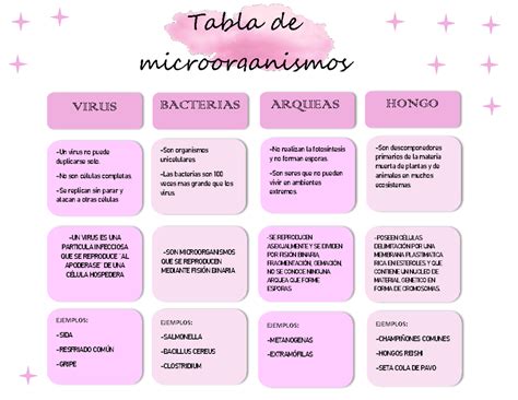 Cuadro Comparativo Tabla De Microorganismos Virus Bacterias Arqueas