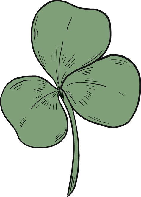 Three Leaf Clover Clipart