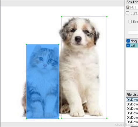【数据集】【yolo】【目标检测】猫狗识别数据集 1410 张，yolo猫狗识别算法实战训练教程，yolo猫狗识别毕业设计。 Csdn博客