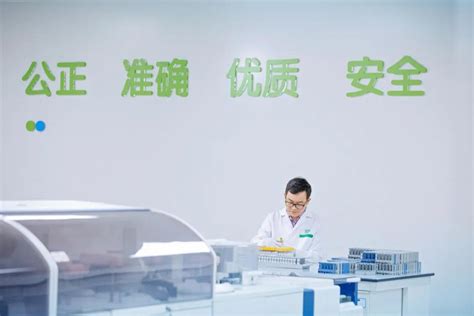 公司新闻