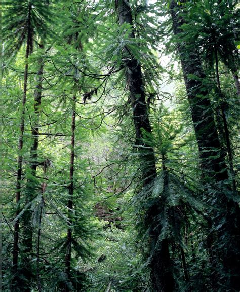 Adaptation Interventions Adapt Landandsea