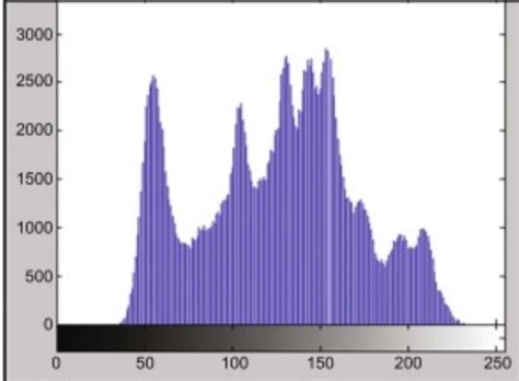 3 Image Processing And Manipulation Flashcards Quizlet