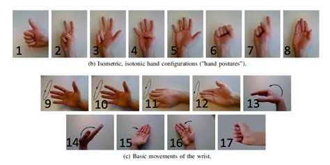 Github Devsanghohand Posture Classification Based On Surface Electromyography Classify Hand