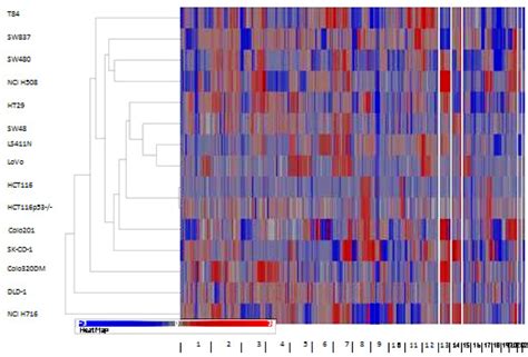 Hierarchical Clustering Using The Genomic Segmentations Of The 15 Crc