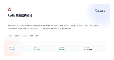 Redis 数据结构介绍 Labex Redis 数据结构介绍 Labex