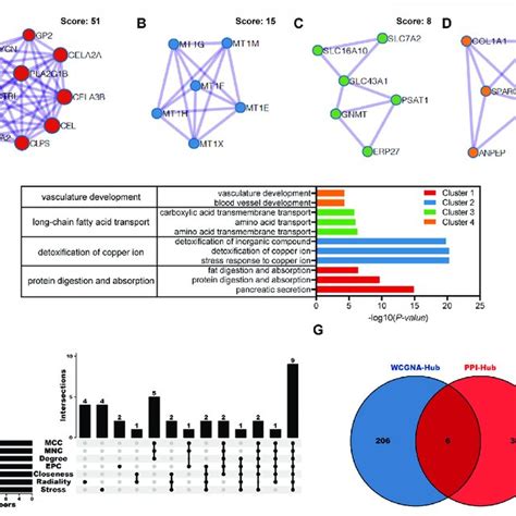 Ppi Network Module Analysis And Hub Gene Identification A D Four Download Scientific