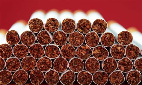 La Cara Buena Del Tabaco Cómo Puede Ayudar A Curarnos En Lugar De