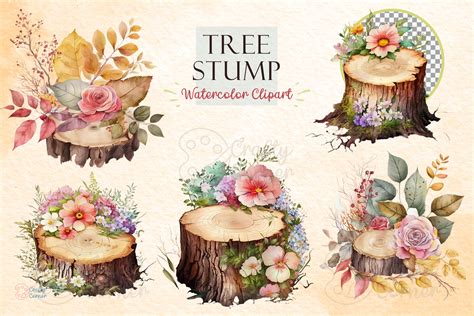 Tree Stump Watercolor Clipart Bundle Graphic By Crafty Corner Creative Fabrica
