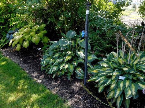 Gardening With Grace Garden Tour Sebright Gardens